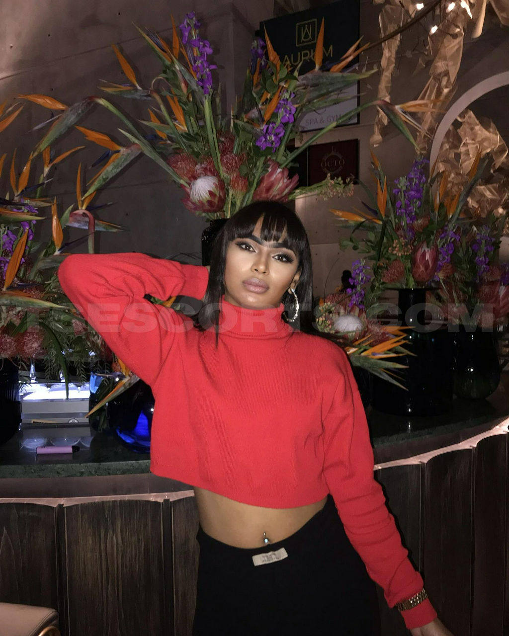 TRACEY-LEE | Shemale Escort in Johannesburg South Africa | +27 68 395 9483 - HOT.com